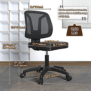 TTD TIANTIANDA Armless Swivel Mesh Computer Office Desk Chair Height Adjustable with Lumber Support for Small Spaces, Black