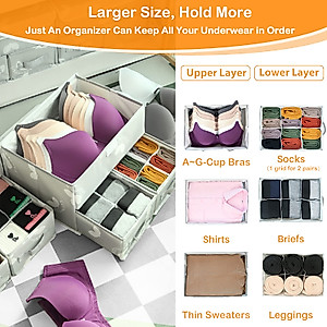EASEVE Sock Underwear Drawer Divider - Closet Organizers and Dresser Organizer Wardrobe Clothes Box Storage Bins with Lid for Bra, Leggings, Shirt, Panty (1 Pack, Grey)
