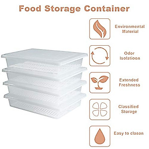 Yiautao Food Storage Container, Plastic Food Containers with Removable Drain Plate and Lid, Stackable Portable Freezer Storage Containers - Tray to Keep Fruits, Vegetables, Meat and More (4,Large)