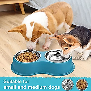 Dog Bowls Double Dog Water and Food Bowls Stainless Steel Bowls with Non-Slip Resin Station, Pet Feeder Bowls for Puppy Medium Dogs Cats