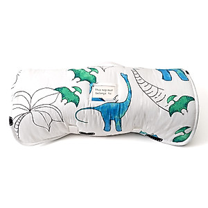 JumpOff Jo - Toddler Nap Mat - Sleeping Bag for Kids with Removable Pillow and Ultra Soft Blanket for Preschool, Daycare, and Sleepovers - Blue Dino