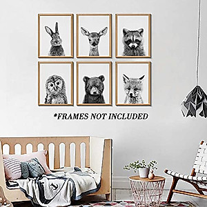 EPHANY Black and White Wall Art, Baby Animal Posters and Prints, Safari Bunny Prints, Nursery Bear Wall Art, Owl Print Wall Art Nordic Picture Kids Room Decoration (YMX017,8"x10"(20x25cm))