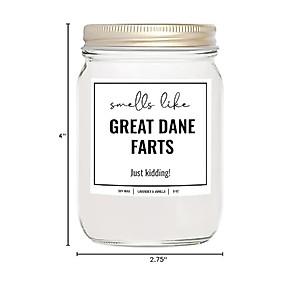 YouNique Designs Smells Like Great Dane Farts Candle 8 oz - Great Dane Gifts for Great Dane Lovers - Great Dane Gifts for Owners Dog Farts Candle - Funny Great Dane Mom Gifts (Lavender & Vanilla)
