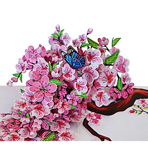 PQ Bees Pop Up Mothers Day Card for Women Mom Grandma Wife, 3D Birthday Anniversary Get Well Soon Thank You Valentines Day Card (Size 6x8 In – Butterflies Cherry Blossom).