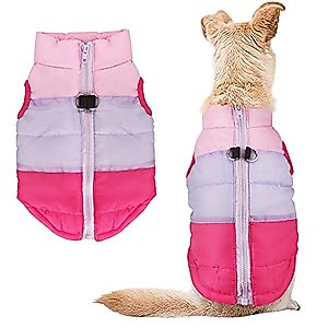 Idepet Pet Dog Cat Coat with Leash Anchor Color Patchwork Padded Puppy Vest Jacket Teddy Chihuahua Costumes Pug Cloth XS S M L (Small, Rose Red)