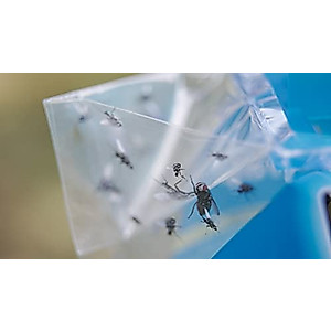 Raid Fly Trap (2-Pack), Outdoor Fly Trap, Disposable Fly Trap Bag, House Fly Trap with Food-Based Attractant, Hanging Fly Bag, 2 Home Fly Trap Bags, Outside Fly Control for Home, Hanging Fly Bait Bags