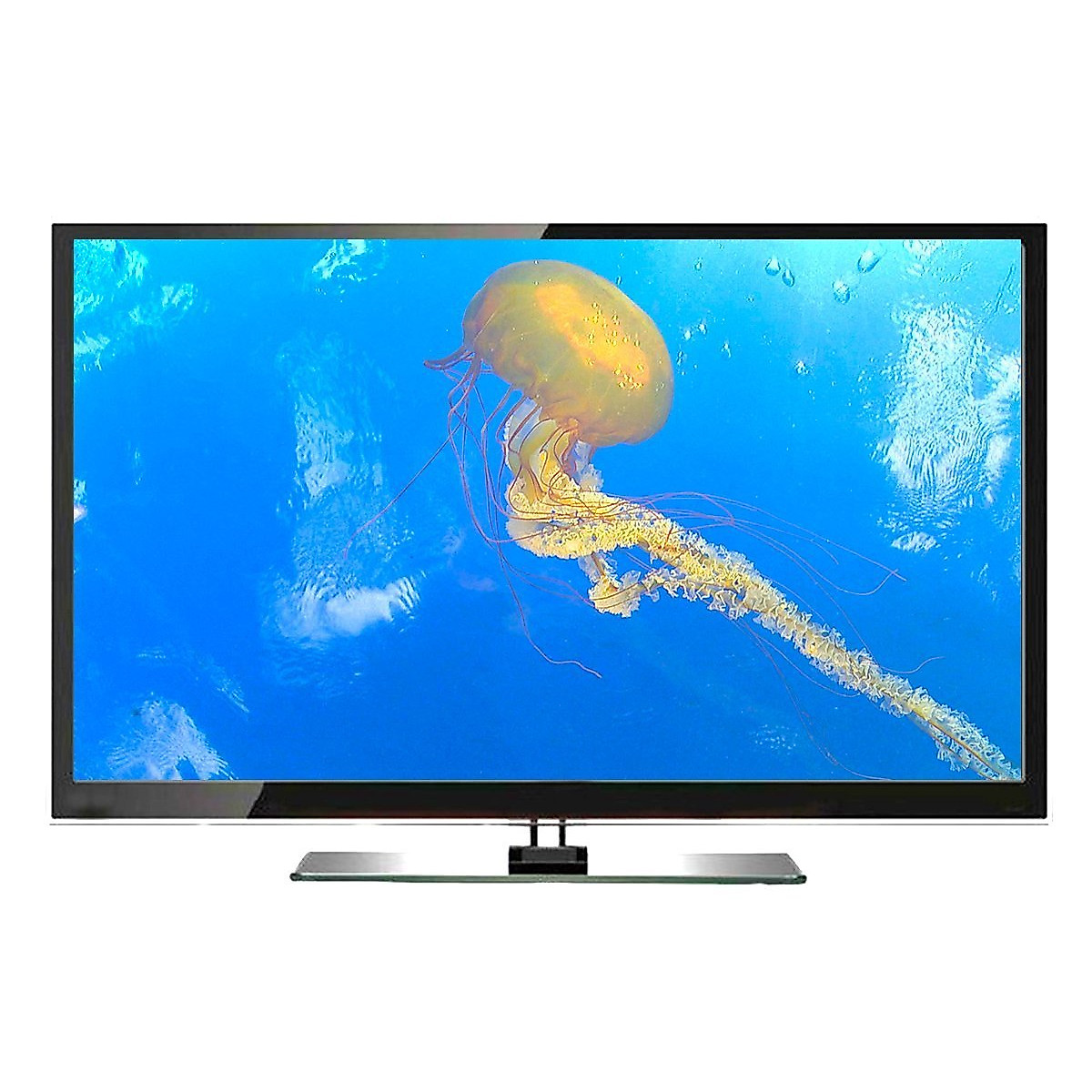 Underwater DVD - Ocean Dreaming - Relaxing Scenes of Corals and Tropical Fishes