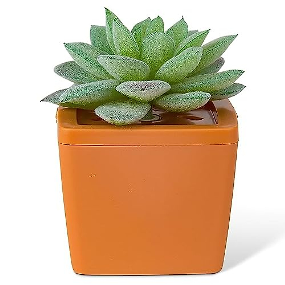 ZendoZones Fruit Fly Trap with Zendo Lure, Tranquil Tabitha with Plastic, terracotta Base, Refillable and Reusable, Long-Lasting