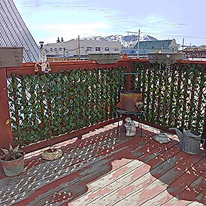 Expandable Fence Privacy Screen for Balcony Patio Outdoor,Decorative Faux Ivy Fencing Panel,Artificial Hedges (2PC,Single Sided Leaves)…