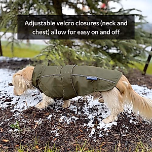 DJANGO City Slicker All-Weather Dog Jacket & Water-Repellent Raincoat with Reflective Piping (Medium, Kombu Green)