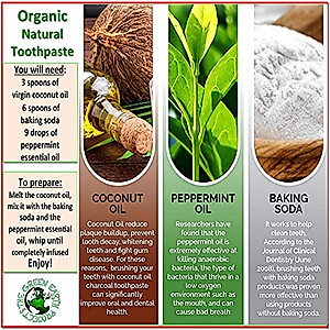 Organic Bamboo Toothbrushes - Eco-Friendly & Compostable 100% Biodegradable Wooden Handles - Durable BPA-Free Medium Soft Bristles - Vegan Manual Toothbrush for Adults with Sensible Gums (6Pack)