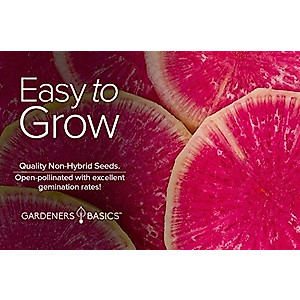 Watermelon Radish Seeds for Planting - Heirloom, Non-GMO Vegetable Seed - 2 Grams of Seeds Great for Outdoor Spring, Winter and Fall Gardening by Gardeners Basics