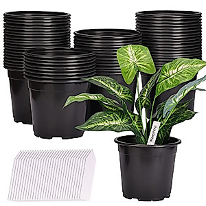 Whonline 60 Pack 6.6in Nursery Pots, Plastic Plant Pots Thickened Soft Seedling Pots with Plant Label for Flowers, Succulents, Seedlings Cuttings Transplanting Indoor & Outdoor (Black, About 1 Gallon)