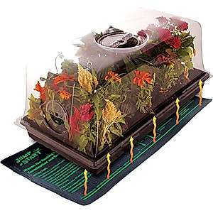 Jump Start CK64060 Heat Mat, Tray, 72 Cell Insert Hot House, 11 X 22 Inch, Black