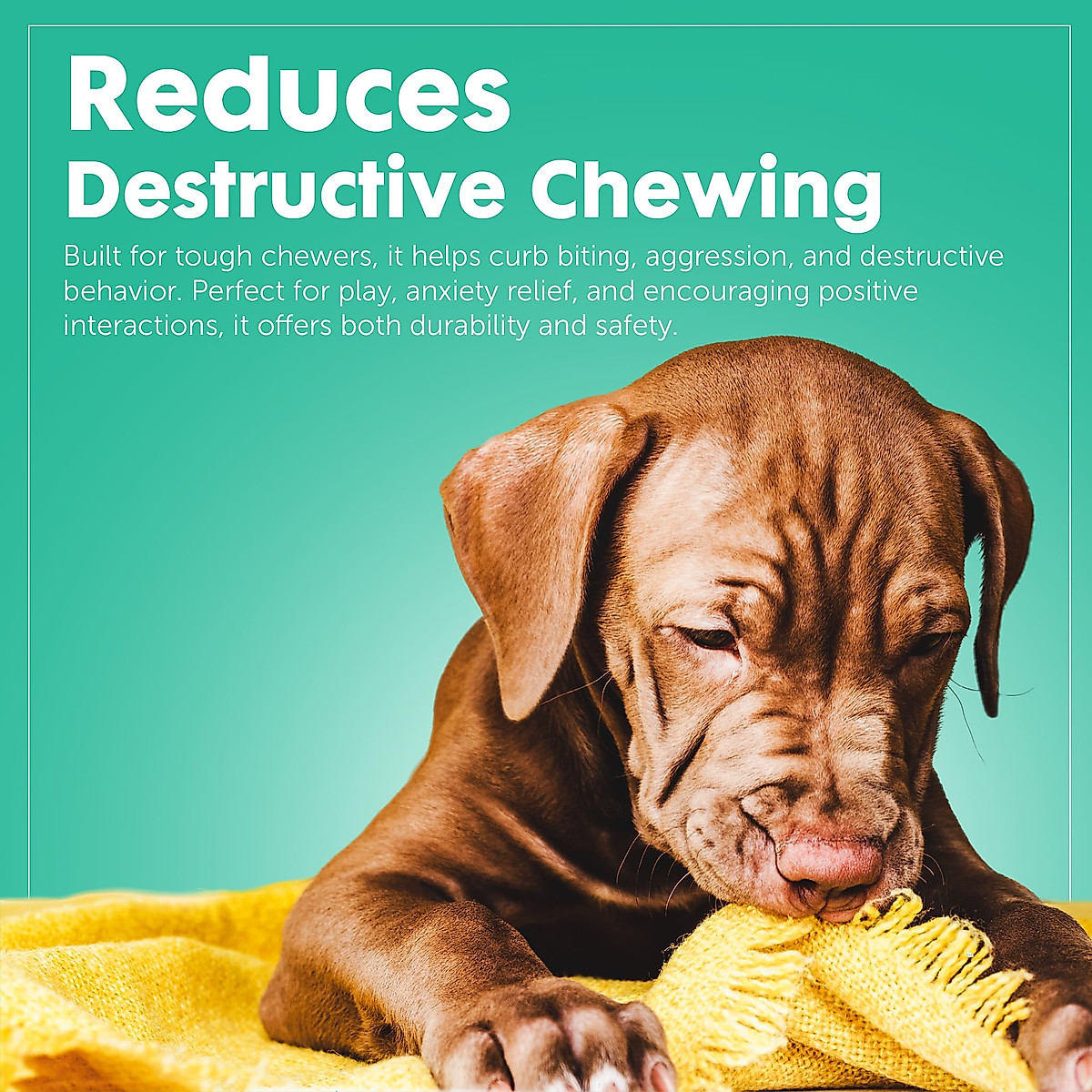 Dog Chew Toys for Aggressive Chewers – Tough Chew Toys for Dogs with Treat Dispenser – Indestructible Rubber Dog Toy for Teeth Cleaning – Chew Bones for Large Dogs