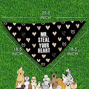 Earus Dog Bandanas for Valentines Day Gifts, Dog Valentines Scarf 2 Packs, Pets lentines Day Plaid Décor for Medium Large Dogs