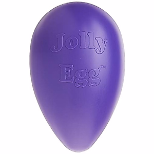 Jolly Pets Jolly Egg Dog Toy, 12 Inches/Large, Purple
