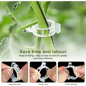 Secured Plastic Plant Clips, 2024 Combinable Plant Support Clips, Plastic Trellis Clips for Climbing Plants, Vine Vegetables Fixing Clips, Plant Clips for Tomato Trellis & Peony Cages (Green, 100pcs)