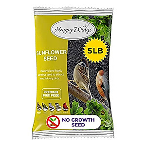 Happy Wings Black Oil Sunflower Bird Food, 5 Pounds | No Grow Seed | Bird Seed for Wild Birds