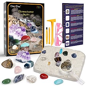 GobiDex Gemstones Dig Kit, Science Kit for Kids STEM Educational Toys, Excavate 12 Real Gems, Rock and Archaeology Geology Kit, Toys for 4 5 6 7 8 9 10 11 12 Year Old Boys & Girls
