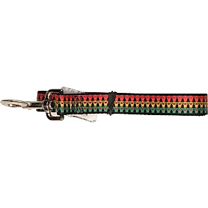 Buckle-Down Domo Kun Red Yellow Green Stripes Pet Leash