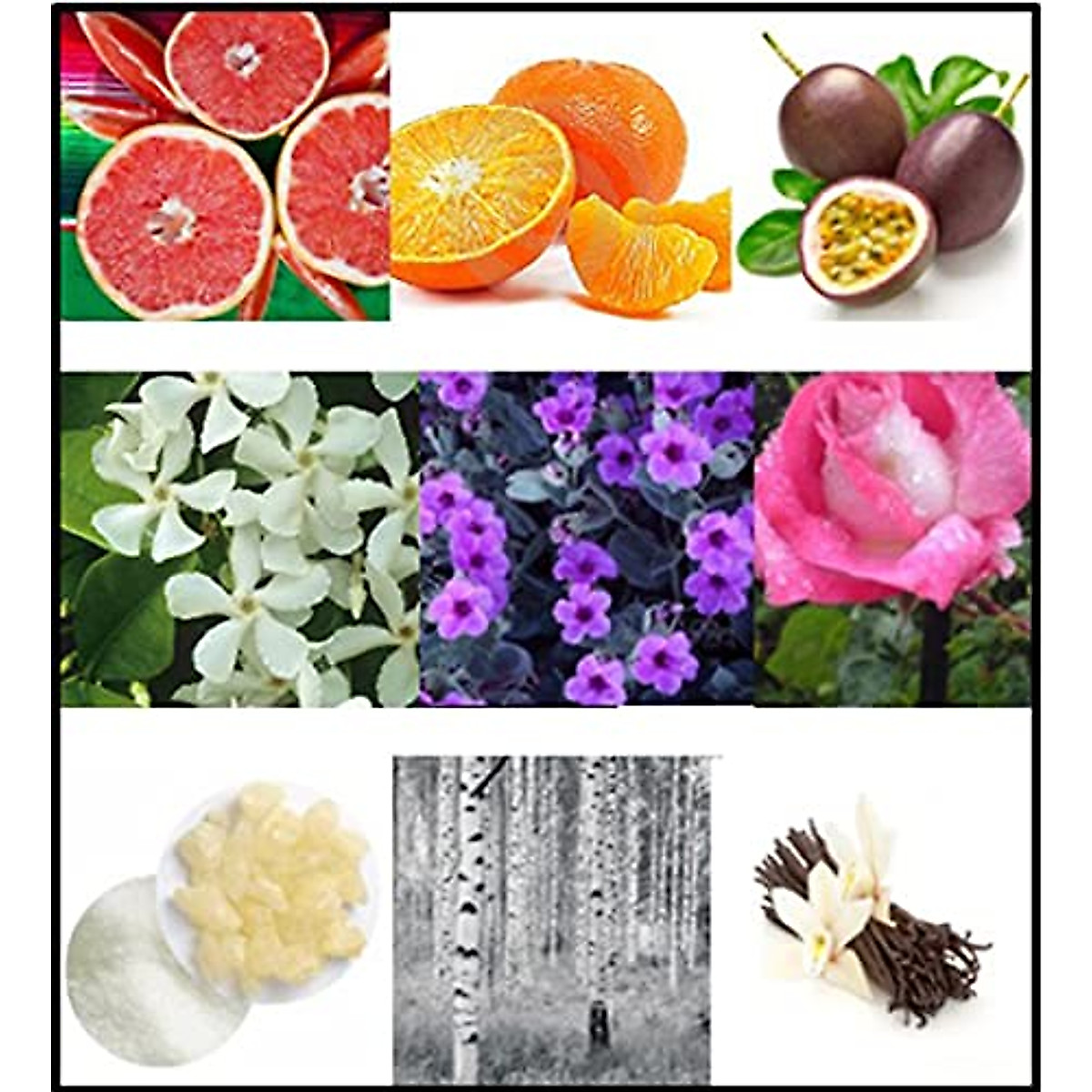 FILA Refreshing Body Spray for Women - Aquatic, Energizing Designer Body Spray Fragrance - Notes Of Mandarin And Passion Fruit - Intense, Long Lasting Scent, Streamlined White Bottle - 8.4 Oz