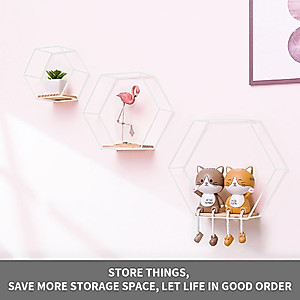 Wall Mounted Hexagonal Floating Shelves White Set of 3, Modern Metal White Shelves, Wood Partition Shelves for Wall Decor, Wall Shelves for Bedroom, Living Room, Kitchen, Office, Plants and Art