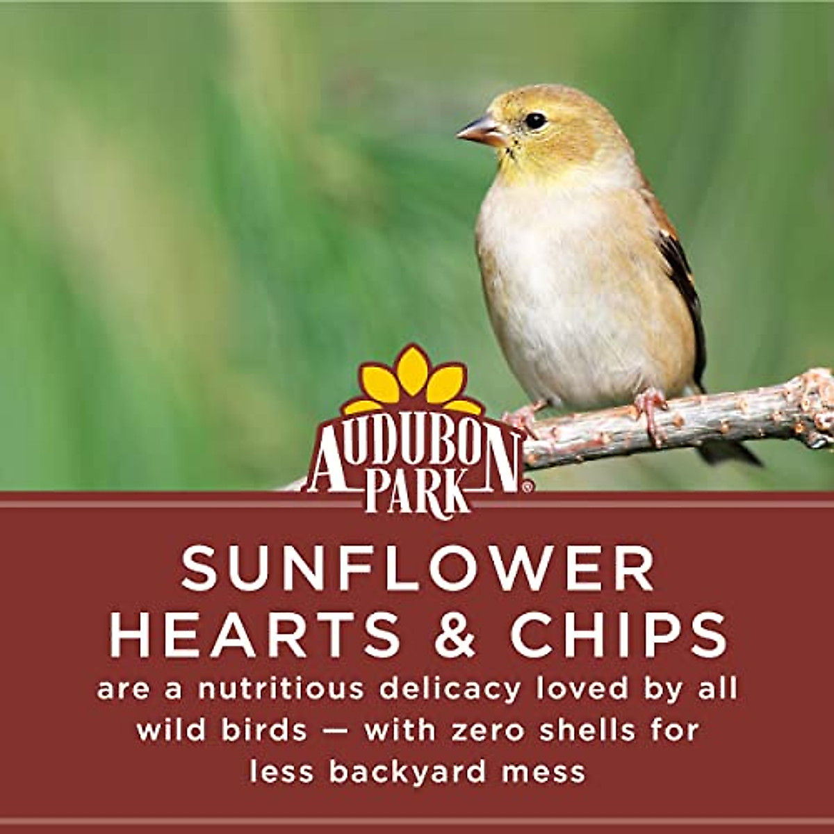 Audubon Park Sunflower Hearts & Chips Wild Bird Food, No Mess Sunflower Seeds for Birds, 5-Pound Bag