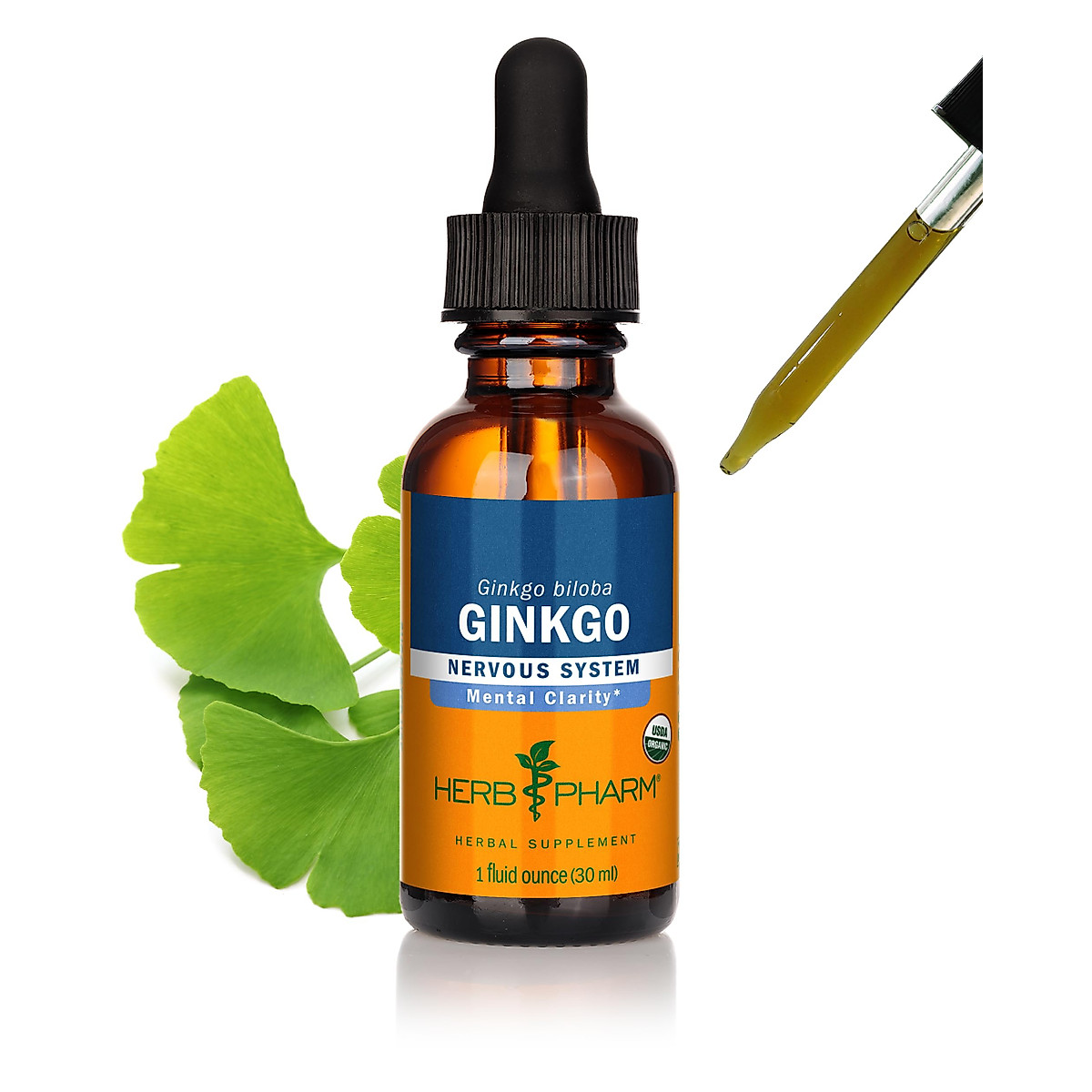 Herb Pharm Certified Organic Ginkgo Liquid Extract for Memory and Concentration - 1 Ounce (781468)