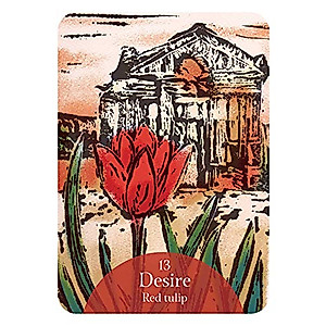 The Language of Flowers Oracle: Sacred botanical guidance and support (44 Full-Color Cards and 144-Page Guidebook) (Rockpool Oracle Card Series)