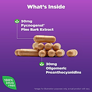 Natrol Pycnogenol Capsules, Antioxidant Protection, Supplement Protects Against Cellular Oxidation and Age-Related Damage, European Maritime Pine Bark Extract, Supports Circulation, 50 mg, 60 Count