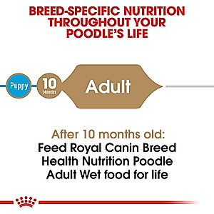 Royal Canin Poodle Adult Breed Specific Wet Dog Food, 3 oz can 4-pack