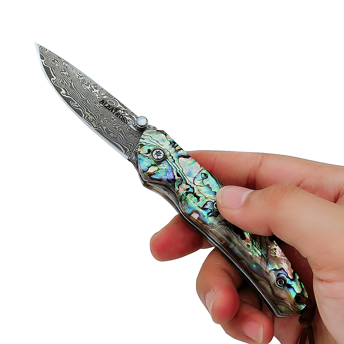 ALBATROSS Pocket Knife Abalone Seashells 6.5'' Modern Damascus Steel Knife Liner Lock Folding Knife Gift Box - HGDK015B