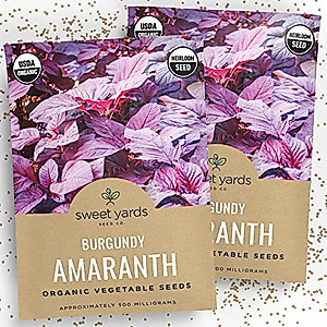 Organic Red Amaranth Seeds 'Burgundy' – Two Seed Packets! – Over 1,000 Open Pollinated Non-GMO USDA Organic Seeds