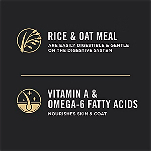 Purina Pro Plan Sensitive Skin and Stomach Cat Food, Lamb and Rice Formula - 16 lb. Bag