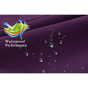 Gopune Women's Waterproof Windproof Fleece Lined Warm Hiking Ski Snow Insulated Pants (Purple,S)