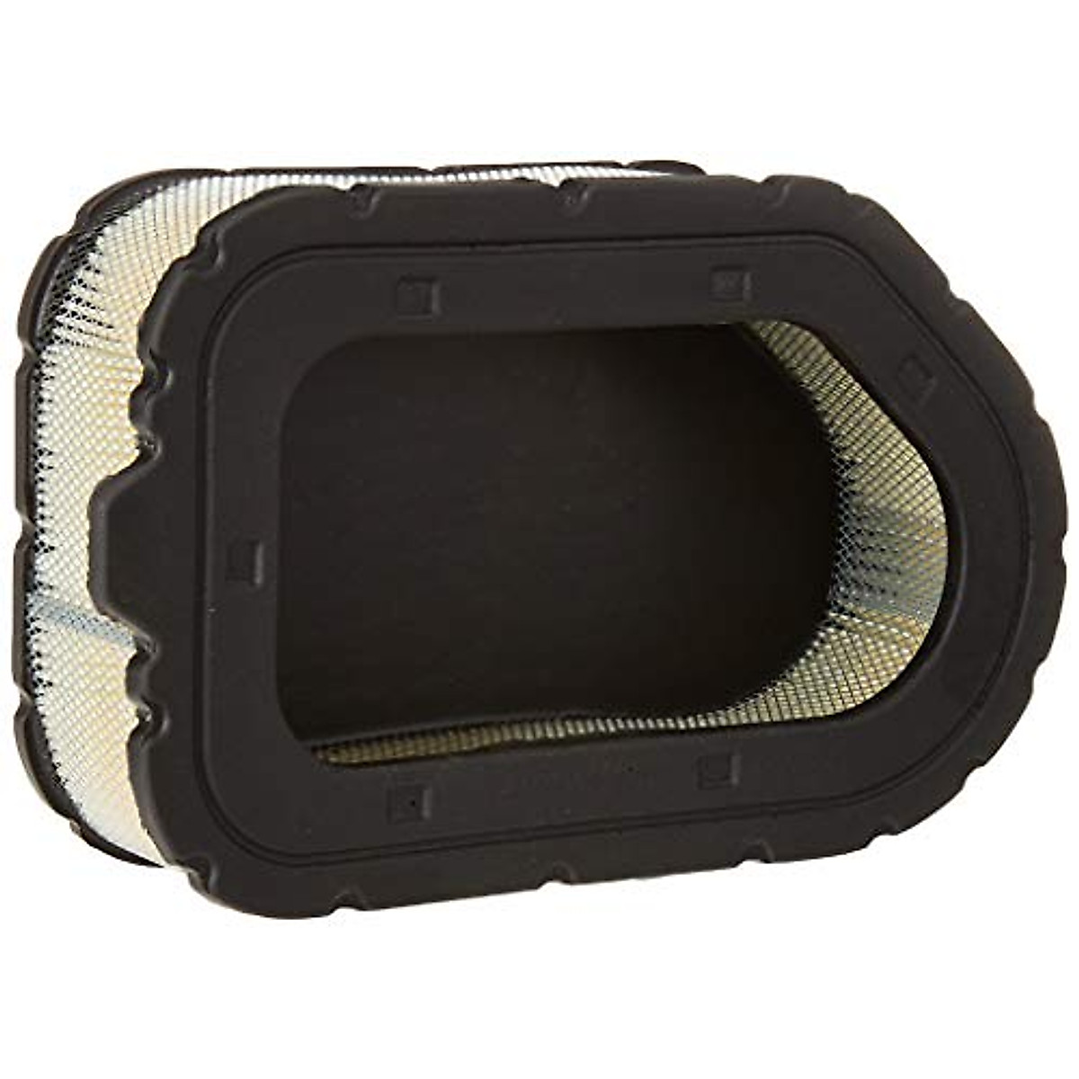 Kohler GM62347 Maintenance Kit for 17/18/20 kW Residential Generators