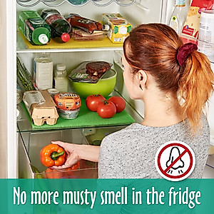 4-Set Fruit & Veggie Life Extender - 16x12 Inch - Foam Fridge Shelf Mat & Refrigerator Drawers Liner - Washable Pads - Extends Life of Produce & Prevents Spoilage - Keeps Food Fresh & Crispy