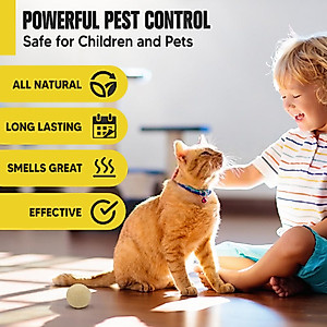 SFDINVFI Pest Control, Rodent Repellent, Mouse Repellents, Mice Repellent, Rat Deterrent, Peppermint Oil Mice Repellent, Repel Rodents, Roach, Ant, Mosquito, Spider, Moths & Other Pest Repellent- 8P