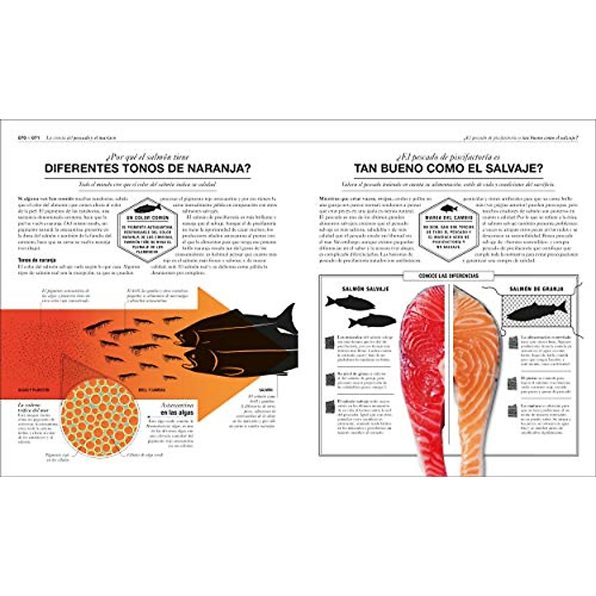 Cocinología (The Science of Cooking): La ciencia de cocinar (Spanish Edition)
