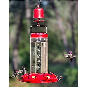 Perky-Pet 245L Ant Guard for Bird Feeders-Single (2)