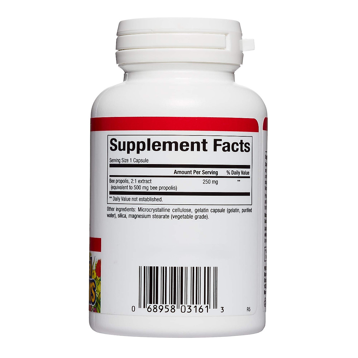 Natural Factors, Bee Propolis Extract 500 mg, Supports a Healthy Immune System, 90 capsules (90 servings)