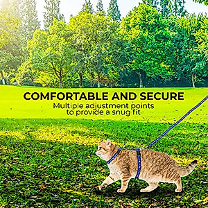 Cat Harness with Leash, 3-Pack, Unique Stars Moon and Paw Heart Design, Escape Proof, Walking, Small Medium Large, Black, Red, Blue, Adjustable, Safe, Set of 3