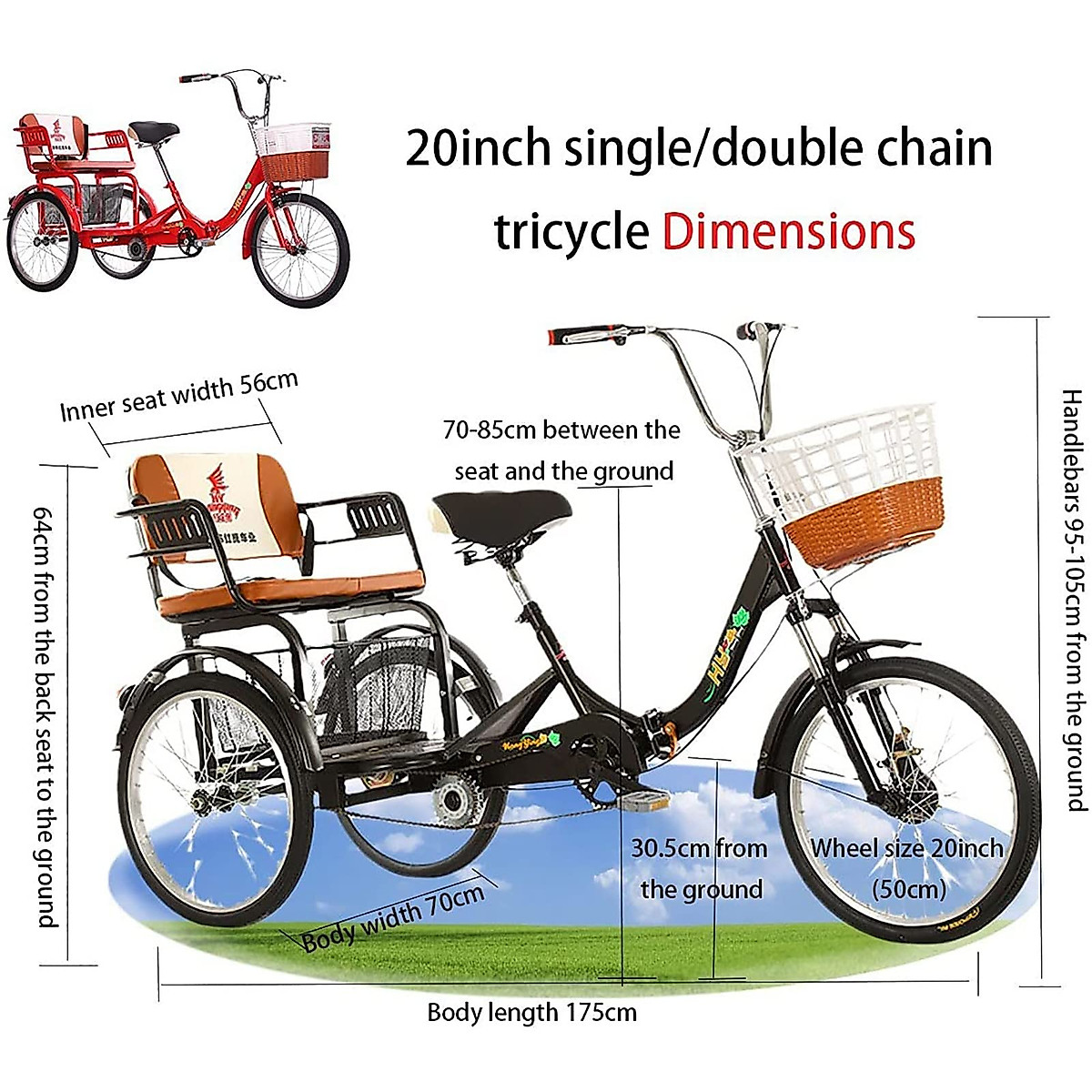 20 Inch Adult Tricycle, Cruiser Bikes Low Step-Through High Carbon Steel Frame, Three Wheel Bikes with Cargo Basket and Trunk for Seniors, Women, Men, (Color : Black)