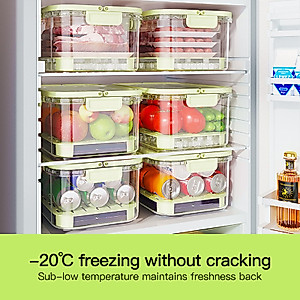 Fruit Storage Berry Keeper Container with Lid and Handle, Portable Food Storage Saver Containers with Ice Pack, for Picnic, Office, Refrigerator, Fridge, Keep Fruit, Vegetable, Meat Fresh (Green)