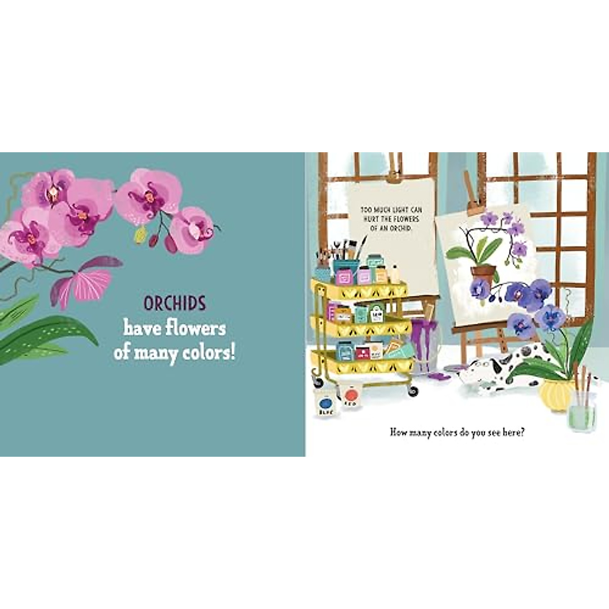 My First Book of Houseplants: Helping Babies and Toddlers Connect to the Natural World from the Intimacy of Home. Promotes a Love for Plants and the Environment. (Terra Babies at Home)