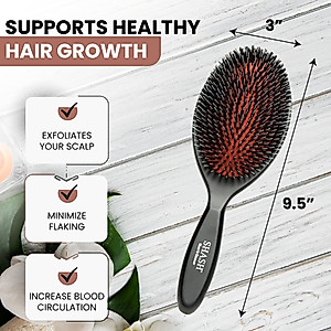 Since 1869 Hand Made In Germany - Nylon Boar Bristle Brush Suitable For Normal to Thick Hair - Gently Detangles, No Pulling or Split Ends - Softens and Improves Texture, Stimulates Scalp (Large)