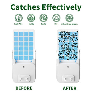 Indoor Plug-in Fly Trap - Flying Insect Trap for Flies, Mosquitoes, Moths - Safe & Effective - 2 Device(White) + 10 Glue Boards