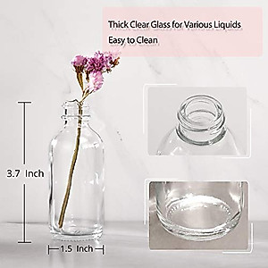 12 Pack, 2 oz Small Clear Glass Bottles with Lids & 3 Stainless Steel Funnels - 60ml Boston Round Sample Bottles for Potion, Juice, Ginger Shots, Oils, Whiskey, Liquids - Mini Travel Bottles, NO Leakage