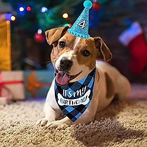 AIITLE Dog Birthday Bandana, Plaid Scarf and Reusable Dog Boy Birthday Party Hat with Number, Small Medium Dog Cat Pet Birthday Party Supplies Blue